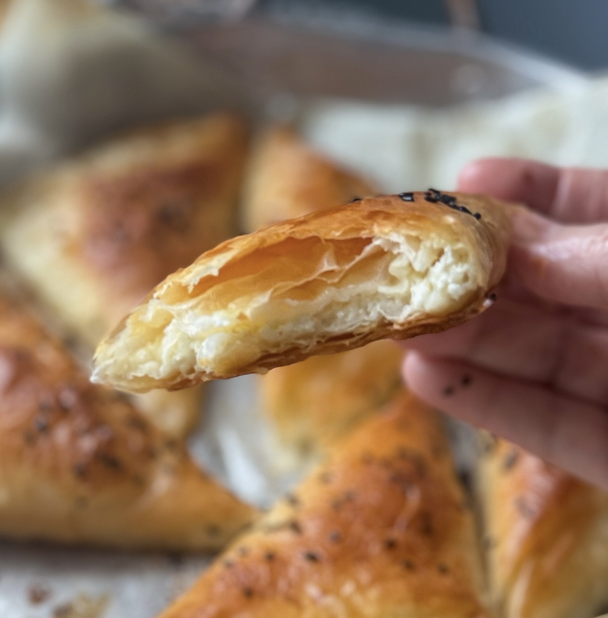 Baked Phyllo Cheese Triangles – Savory Pastry (video) - Minas Bakery